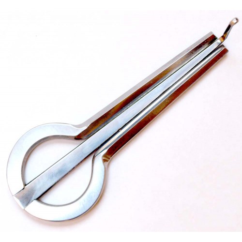Buy Master Chemchoev jaw harp